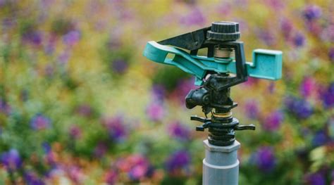 The Necessity Of Backflow Testing And Prevention Services Live Enhanced
