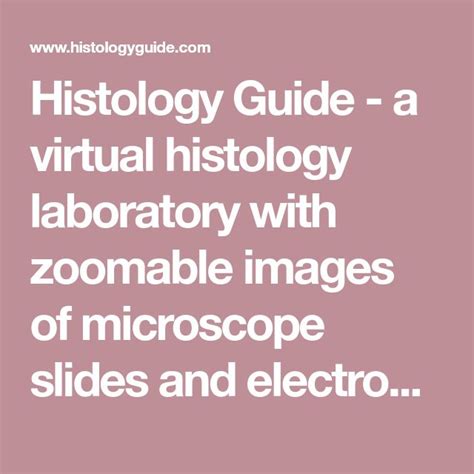 Explore The Virtual Histology Laboratory