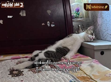 ထိုင်းထီ 2d 3d ထီမျိုးစုံ Mmnine9