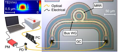 optical microscope image of a microring resonator mrr device
