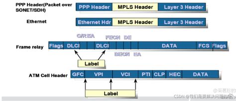 Mpls协议基础 Csdn博客 Mpls协议基础 Csdn博客
