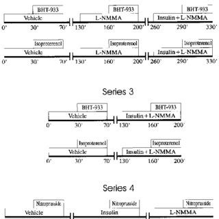 Flow Diagrams Of The Protocol Download Scientific Diagram