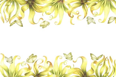 일랑일랑 꽃과 나비가 그려진 액자 이국적인 향기로운 노란색 꽃이 있는 테두리 손으로 그린 수채화 그림입니다 포장용 엽서 및 라벨용 현수막 전단지 0명에 대한 스톡 벡터 아트