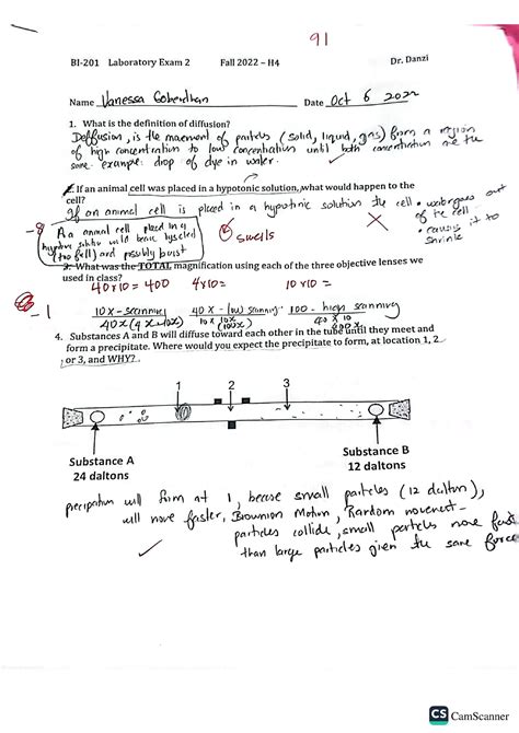 Exam Bio Lab Some If Not All Questions At The Back Of The Lab Are Answered There Are