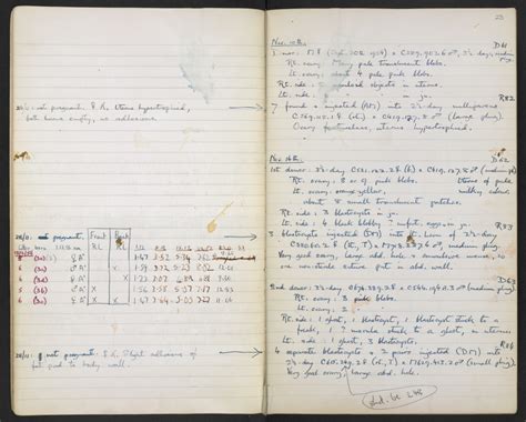 Importance Of A Detailed Lab Book Chromosomevi