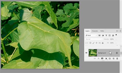 How To Better Convert To Grayscale In Photoshop Skillforge