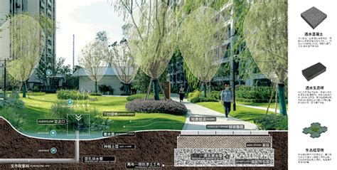 丛林之下，萤来美好｜2021江苏旭辉社区海绵实践分享自然栖园景观 海绵设计融合了景观森林系的设计理念，打造自然有趣有人情味的居住场所