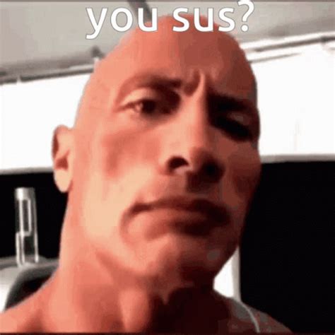 The Rock Eyebrow Raise GIFs GIFDB