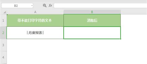 Clean函数的使用方法 软件自学网