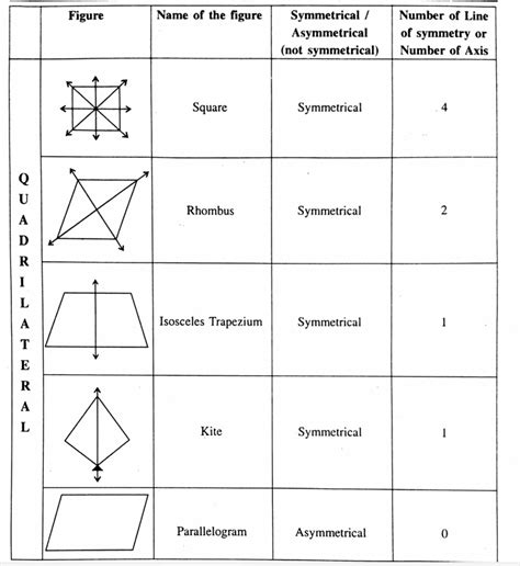 Wbbse Notes For Class 6 Maths Geometry Chapter 6 Symmetry Wbbse Solutions