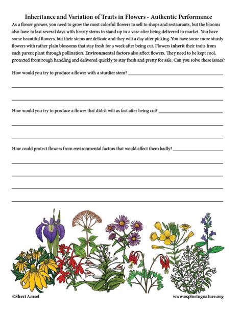 inheritance and variation of traits in flowers authentic performance