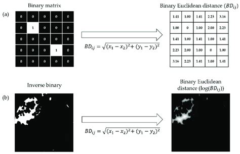 Noise Removal By Calculating Binary Euclidean Distance A Euclidean
