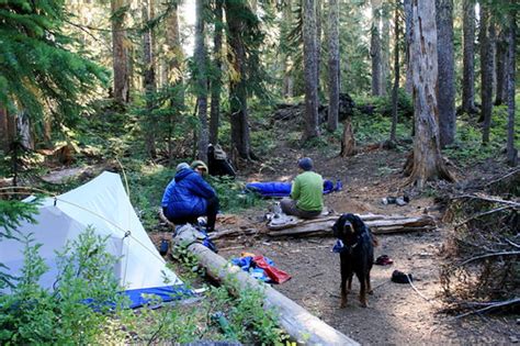Trout Unlimited Tackles Benson Lakes Area Of Mt Washington Wilderness