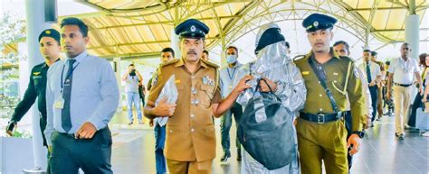 ලොකු පැටී අපරාධ රැසක් ගැන තොරතුරු හෙළි කරයි