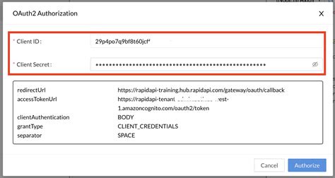 API Access Provisioning
