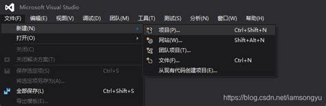 Vs中创建c语言项目 Csdn博客