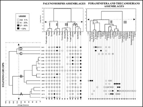 Cluster Analysis Dendrogram In Q Mode And R Mode Download Scientific