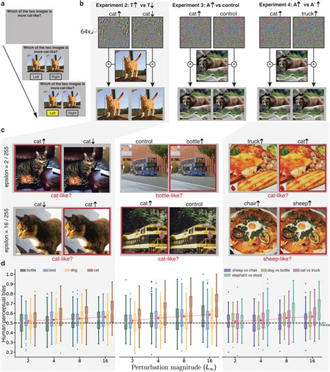 Experiments 24 Adversarial Examples Systematically Bias Choice A