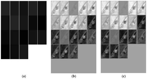Insect Detection And Classification Based On An Improved Convolutional Neural Network