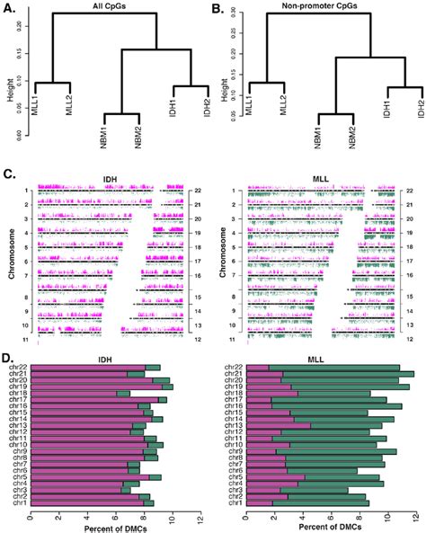 Diametrically Opposed Dna Methylation Patterns In Mllr And Idh Mut