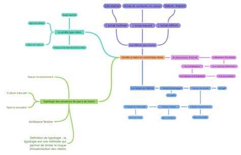 Identifier Et Repérer Les Caractéristique Clients Coggle Diagram