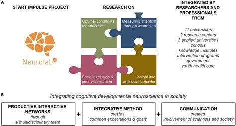 Frontiers Integrating Cognitive Developmental Neuroscience In Society Lessons Learned From A