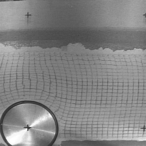 Deformed Grid After Test 2 Download Scientific Diagram