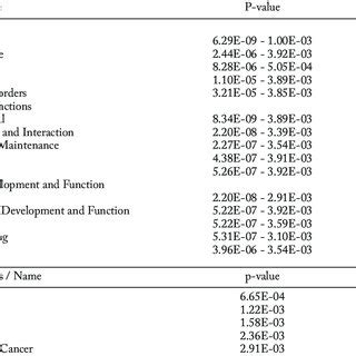 IPA Analysis Top 5 Functional And Canonical Pathway Analyses
