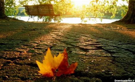 دانلود عکس پس زمینه کامپیوتر طبیعت