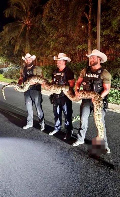 Jacksonville Sheriffs Office Assists Collier County With Invasive 14