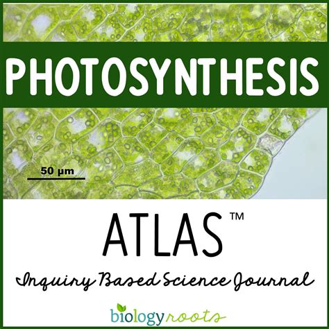 Photosynthesis Ngss Inquiry Atlas Journal Store Biology Roots