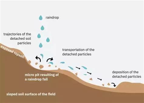 Types Of Erosion Diagram Page 38