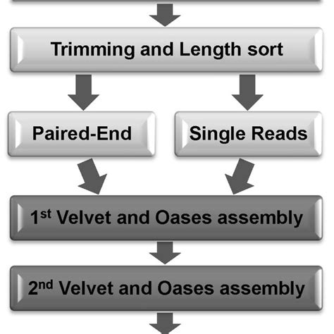 Schematic Illustrating Transcriptome Assembly And The Analysis Of