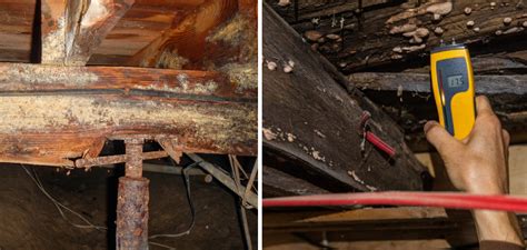 How To Replace Rotted Floor Joist In Crawl Space Easy Steps