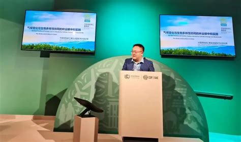 聚焦cop28边会｜应对气候变化基于自然的林业解决方案 北京凯来美气候科技有限公司