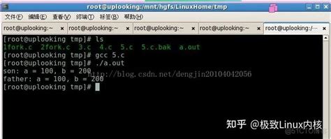 【linux内核】vfork 函数详解 知乎