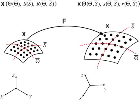 Fig A9 The Surfaces In The Reference And Deformed Configurations Are