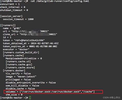 Gitlab Cicd报错： Error During Connect Post Docker2375v1