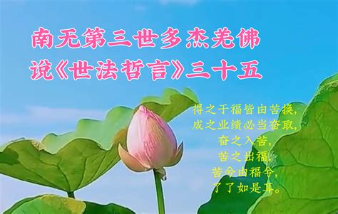 南无第三世多杰羌佛说《世法哲言》三十五 頂禮 H H 第三世多杰羌佛 正教