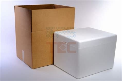 Insulated Styrofoam Shipping Box Epstec China Eps Machine