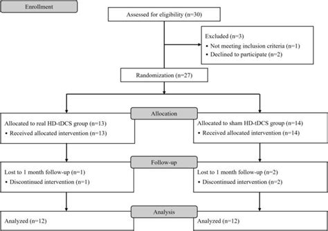 Simultaneous High Definition Transcranial Direct Current Stimulation