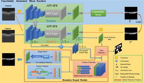 The Proposed Sscr Semi Supervised Segmentation Framework The Blue Download Scientific Diagram