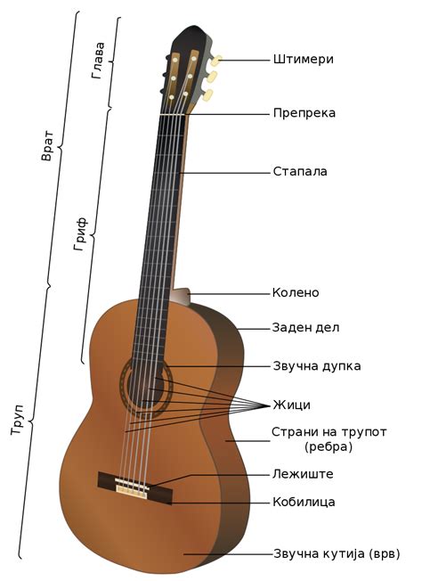 ЖИЧАНИ МУЗИЧКИ ИНСТРУМЕНТИ