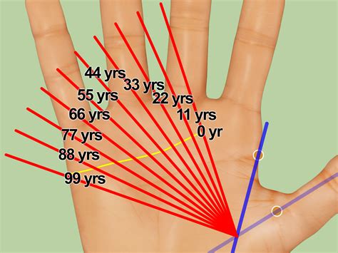 How To Calculate The Age Of A Person Using Palmistry Easy Steps