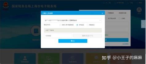 全电发票开票指引 知乎
