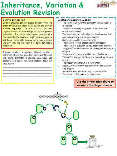 Aqa 1 9 Gcse Biology Science Inheritance Variation And Evolution Revision Workbook Teaching