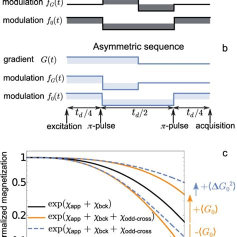 schematic representation of a symmetric a an asymmetric sequence b