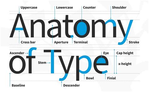 Incorrect Font Size Desktop Questions MacOS And Windows Affinity Forum