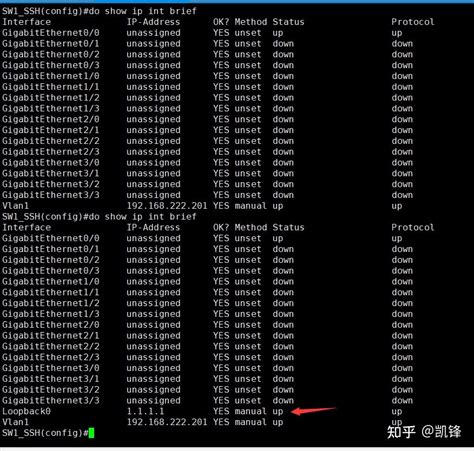 python网络运维实验实验环境GNS3 知乎