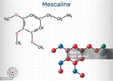 메스칼린 분자 그것은 환각 환각 페네틸아민 알칼로이드입니다 구조 화학 공식 및 분자 모델 케이지에 있는 종이 시트 0명에 대한